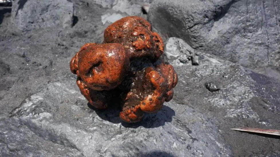 In totem Pottwal auf La Palma gefunden: Dieser Ambra-Klumpen ist bis zu ... In totem Pottwal auf La Palma gefunden: Dieser Ambra-Klumpen ist bis zu ...