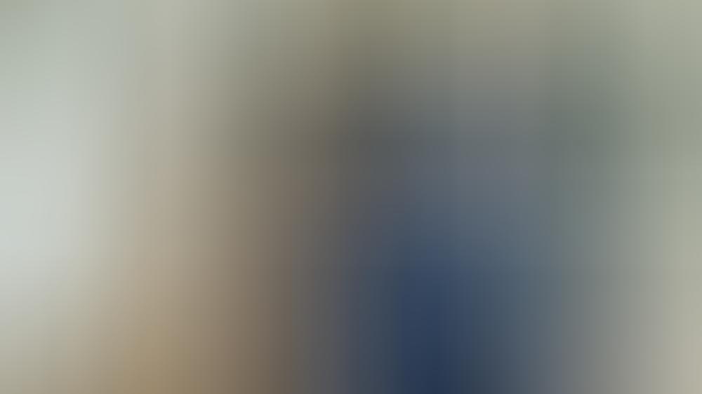 Wegen Beißattacken: Joe Bidens Hund aus dem Weißen Haus verbannt Wegen Beißattacken: Joe Bidens Hund aus dem Weißen Haus verbannt