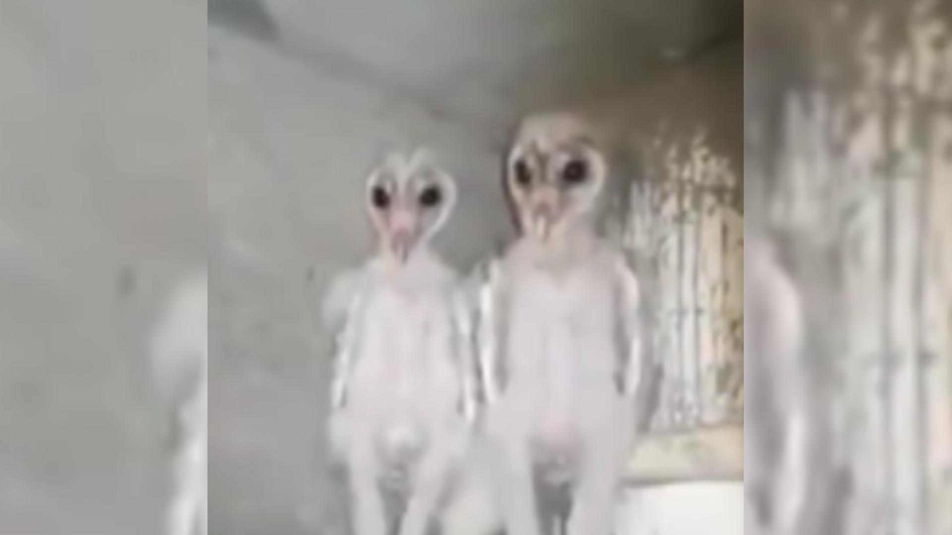 Las Vegas: Meldungen von Außerirdischen halten Polizei auf Trapp