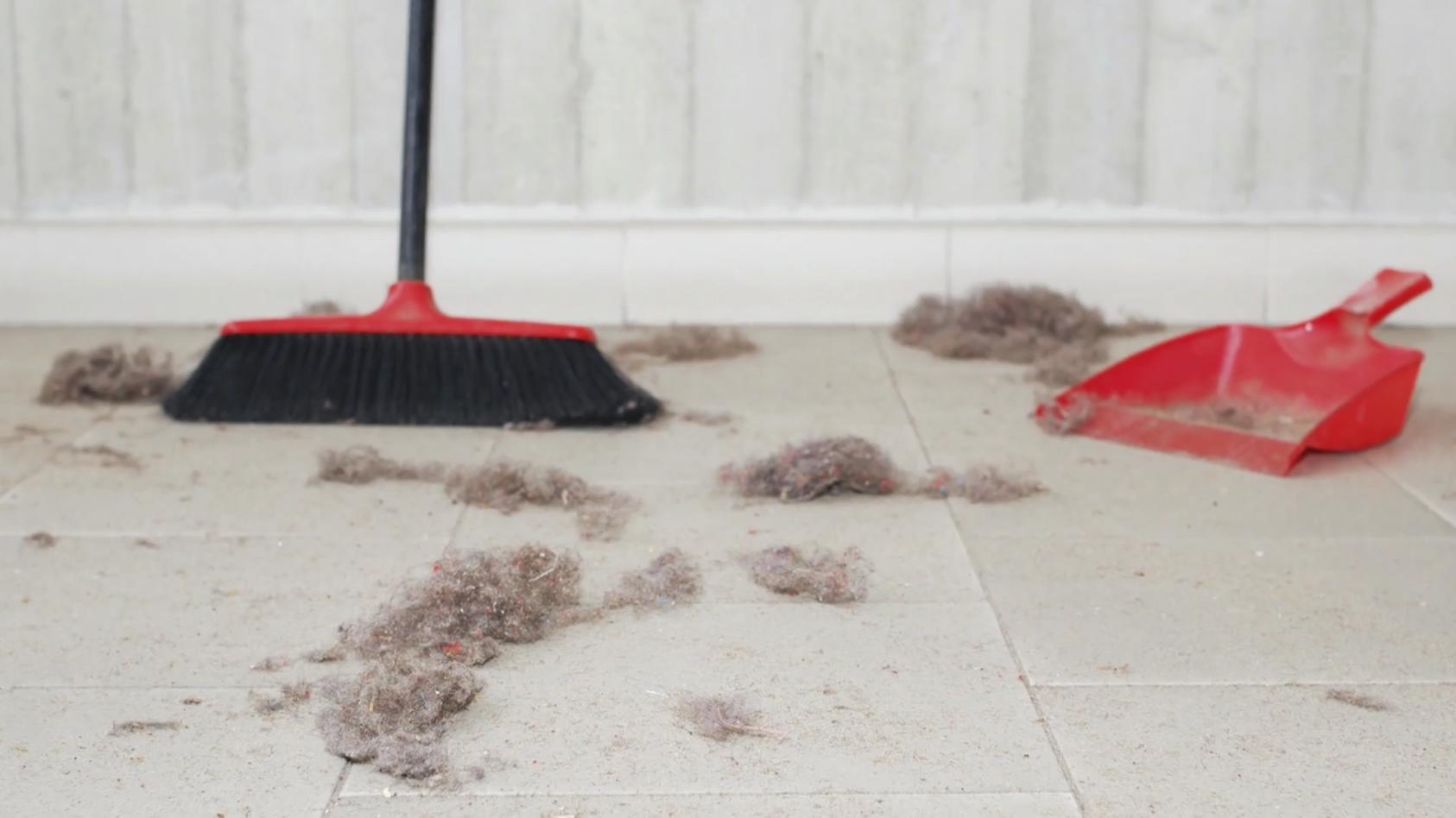 Ihgitt! Das sind die Bestandteile von normalem Hausstaub