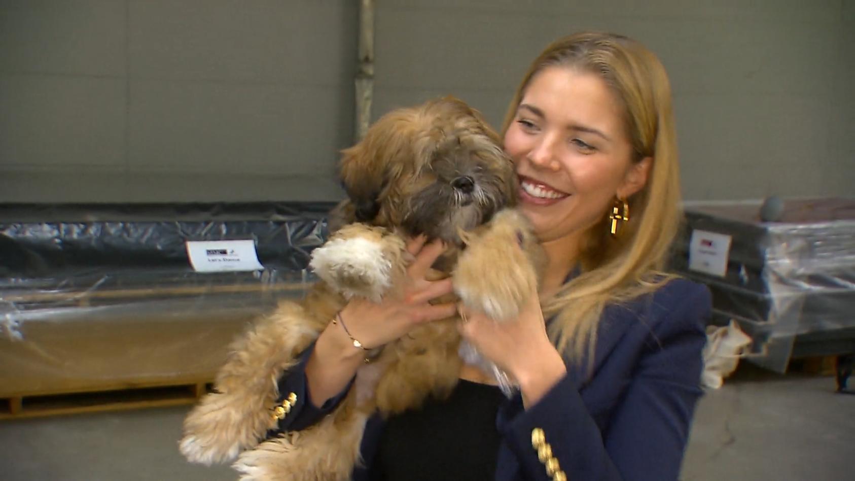 Welpen-Coaching: Victoria Swarovski und ihr kleiner Hund Winnie lernen ...