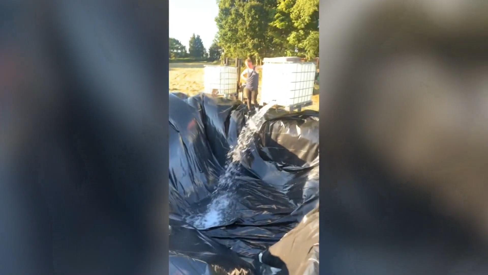 Sonnencreme im Stiftung Warentest: DIESE zwei Discounter-Produkte sind ...