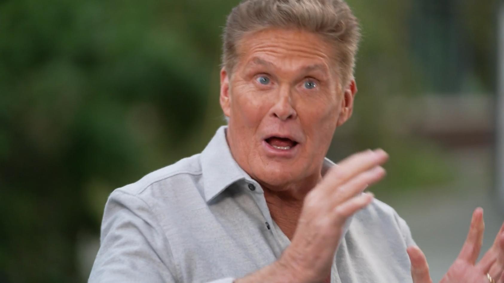 Looking for David Hasselhoff: Der Kultstar möchte einen Imagewechsel