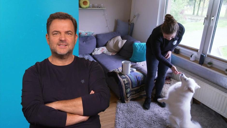 Neuer Name und neues Leben: Die Geschichte von Spitz Robbie bringt ...