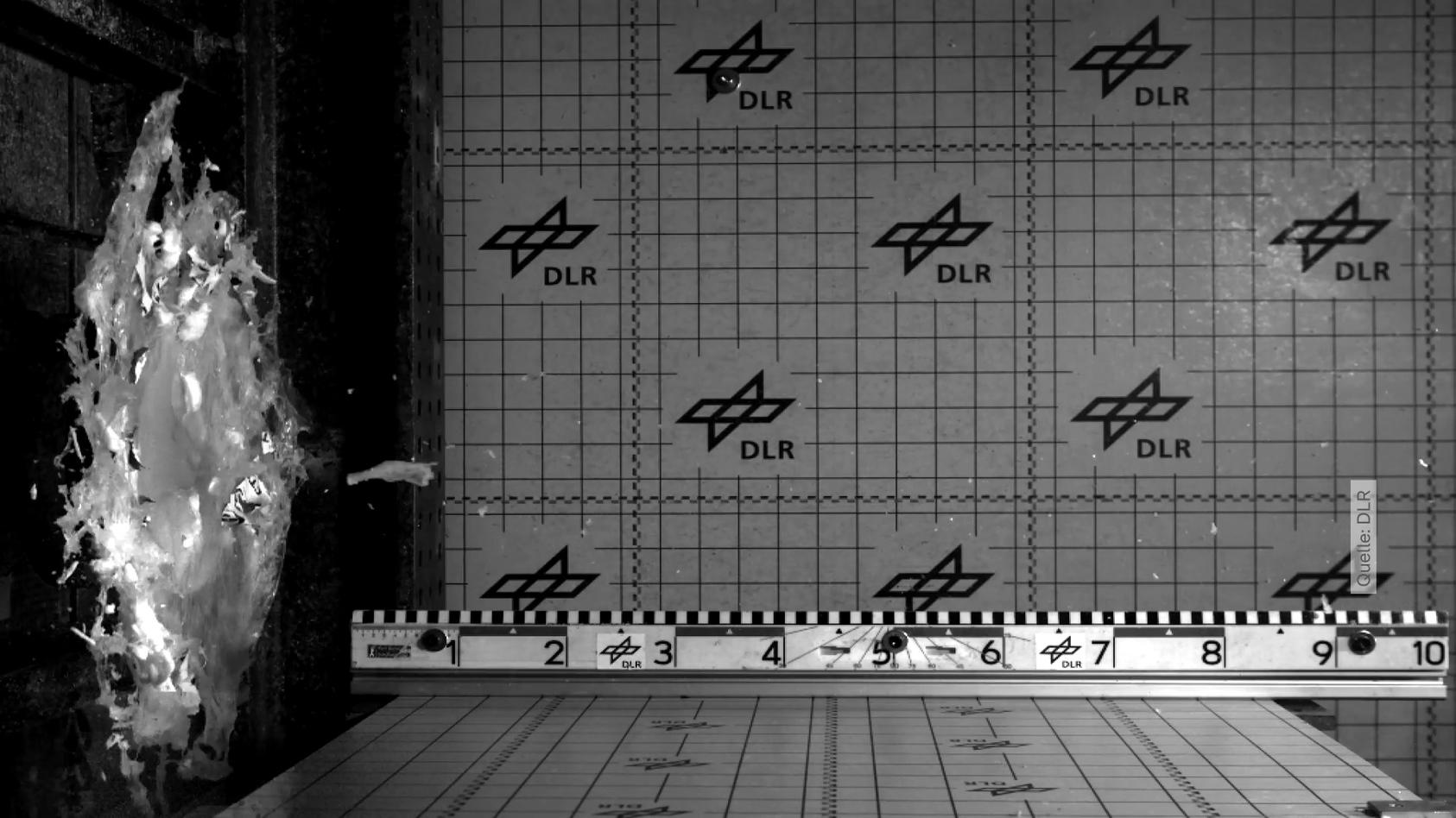 Firma entwickelt Dummys für Vogelschlag-Versuche