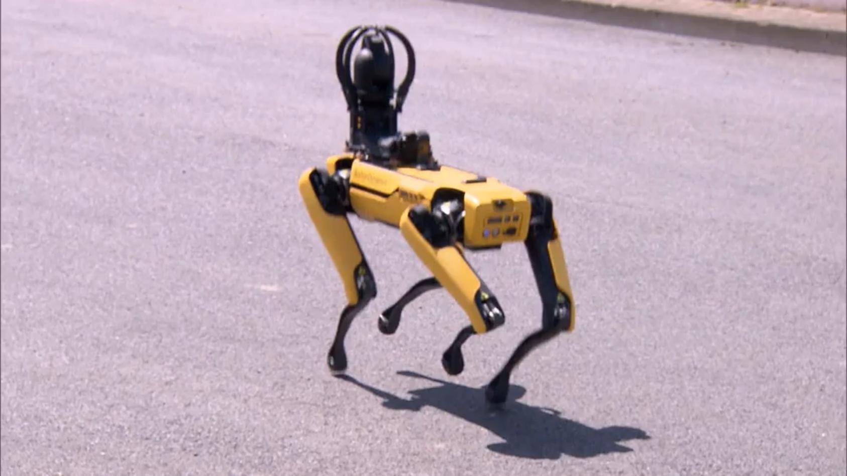 Elektrischer Hund: Roboterhund übernimmt Kontrollgänge