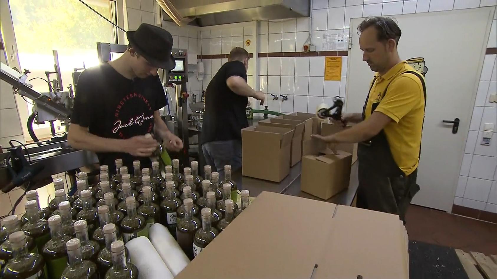 Die Höhle der Löwen: Gründer Paul (17) ist der Chef seiner Eltern! Kann ...