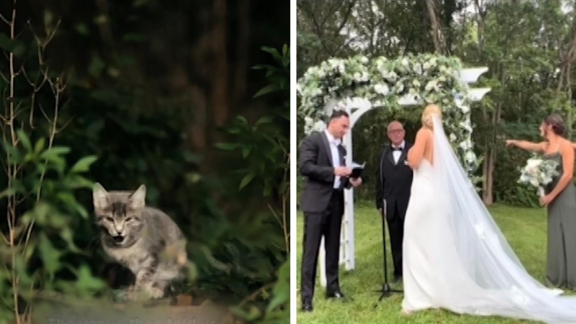 Hertha-Präsident Kay Bernstein ist tot: Seine Frau richtet sich mit ...