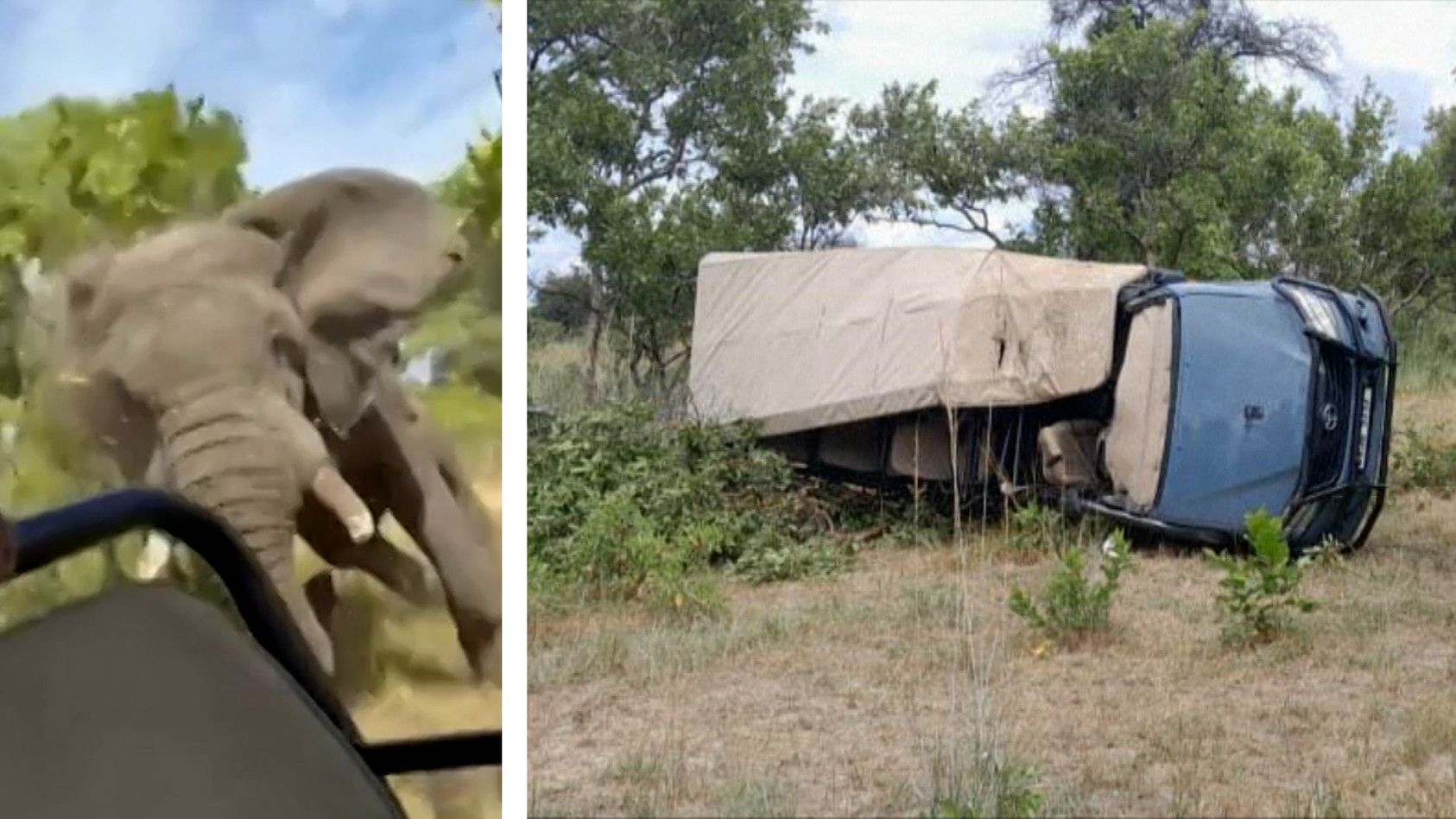 Aggro-Elefant tötet Safari-Urlauberin - Videokamera hält die Attacke fest!